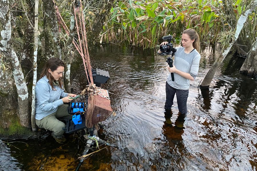 About - Path of the Panther